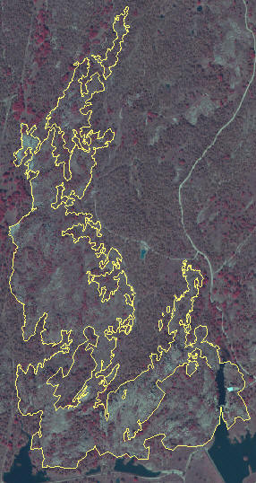GEO326G/386G Lab 11: Map Preparation of GPS Field Data